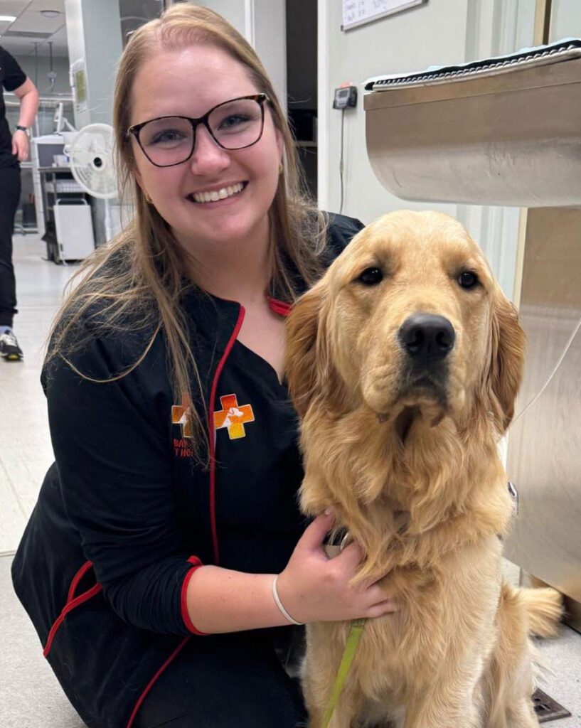 Veterinary Jobs in Traverse City, MI | Bay Area Pet Hospital