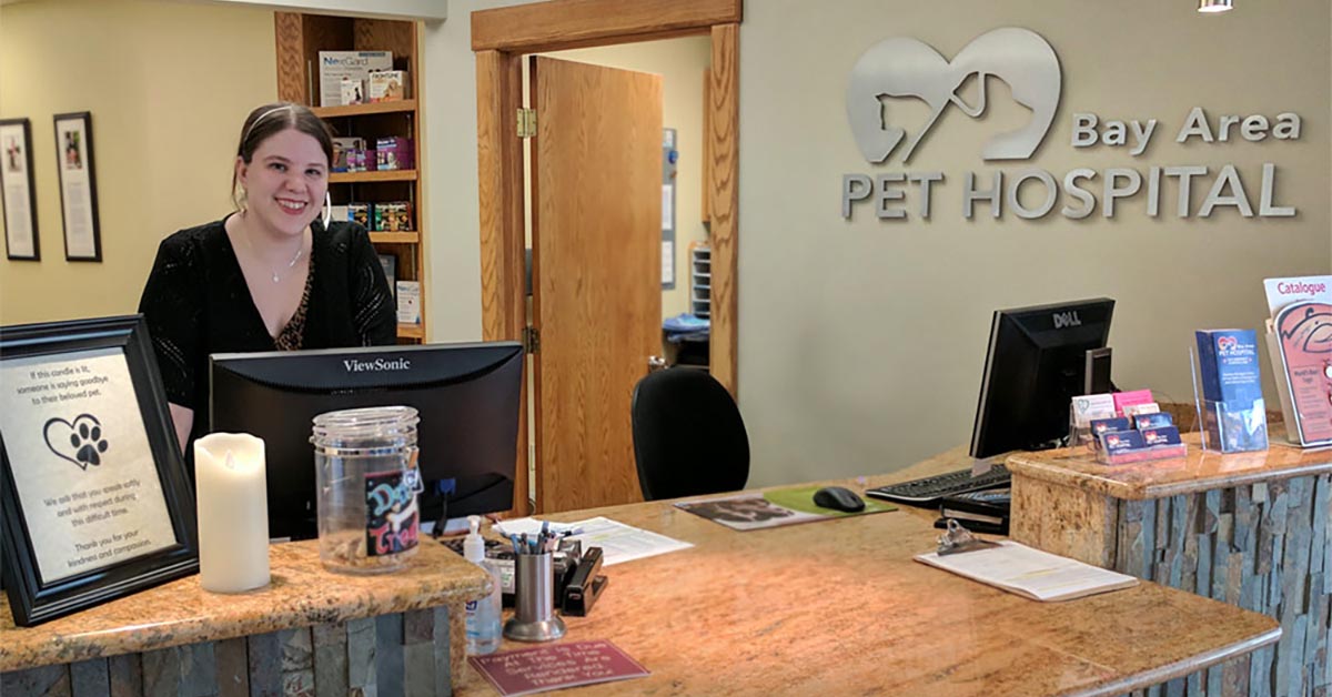 Meet Our Team in Traverse City, MI | Bay Area Pet Hospital
